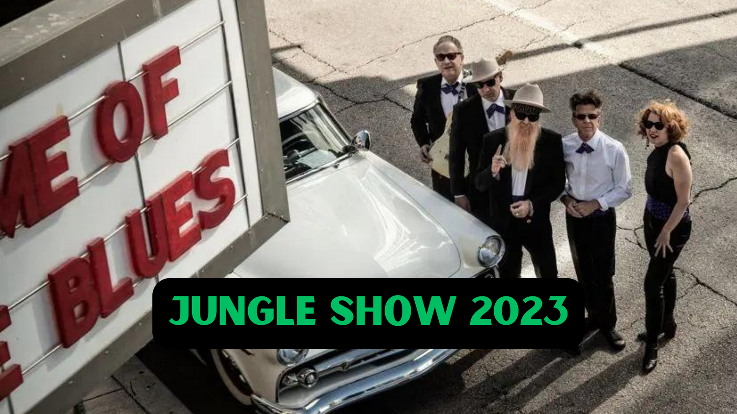 Collections – Limited Edition Merch